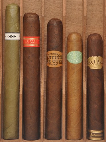 Develop Your Palate: Iconic Cigars for Classic Tasting Notes (Vol. 3 ...