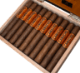 Buy Camacho Broadleaf Toro Online at Small Batch Cigar | Best Online ...
