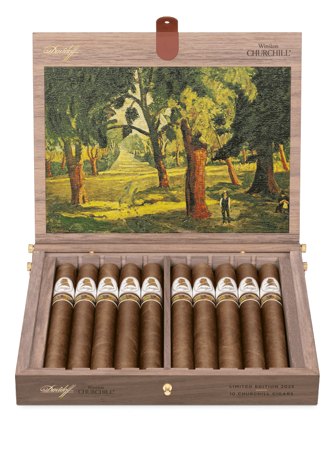 Buy Davidoff Winston Churchill Limited Edition 2025 | Best Online Cigar ...